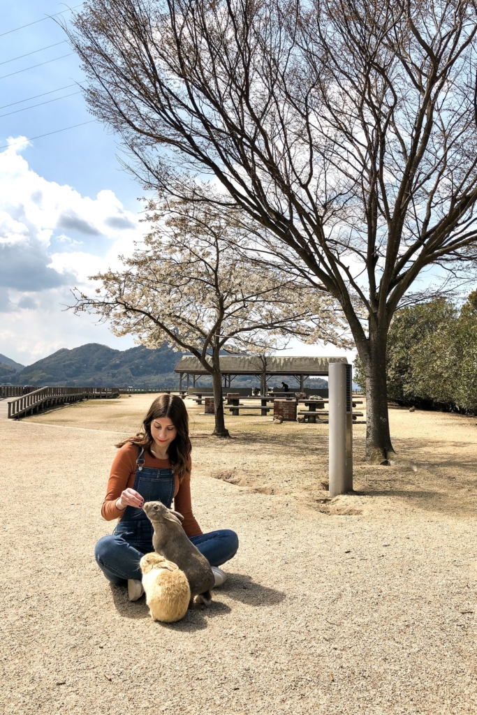 Visiting Rabbit Island in Japan: A Guide to Okunoshima