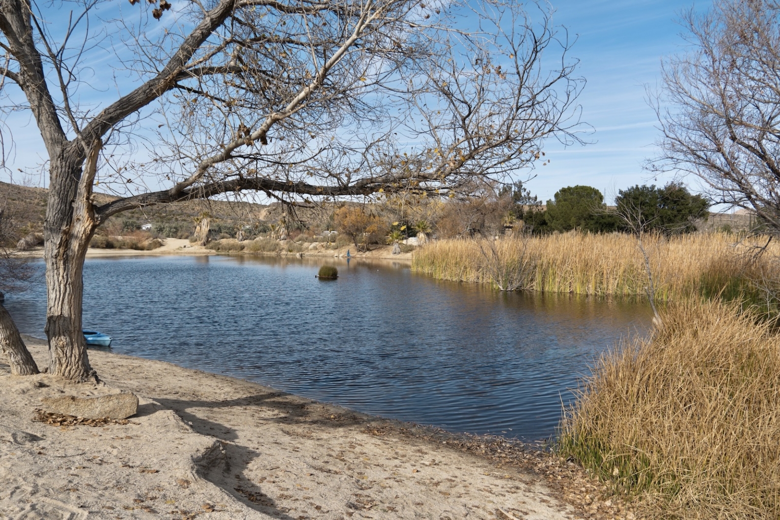 Why You Should Visit the New Jacumba Hot Springs Hotel